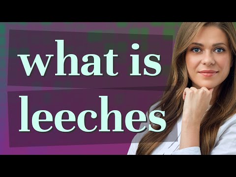 Leeches | meaning of Leeches