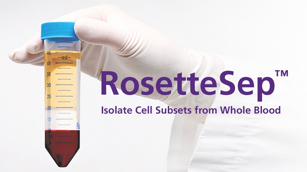 Isolate Cells from Whole Blood without Columns or Magnets: RosetteSep™ Immunodensity Cell Separation