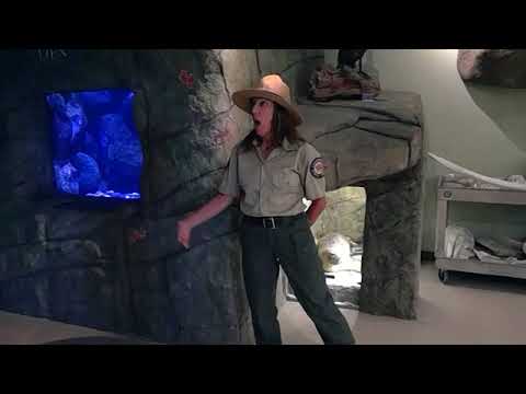 Doheny State Beach Visitor’s Center Virtual Tour ~ Springtime 2021