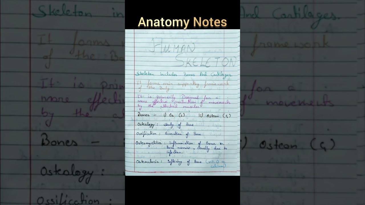 Anatomy Notes- Bones.       For complete PDF contact us on details given.
