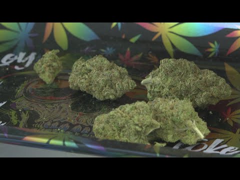 Jefferson County voters to decide fate of marijuana sales, production