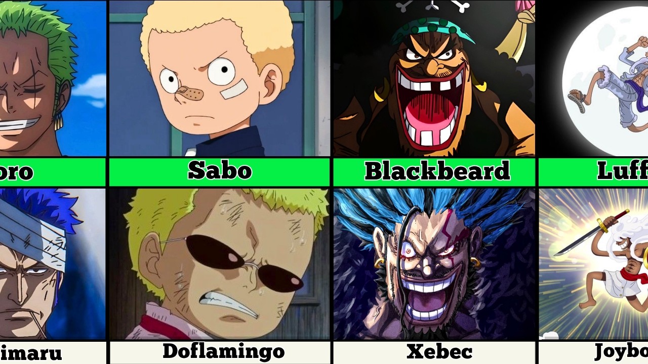 One Piece Characters Who Look EXACTLY Alike!