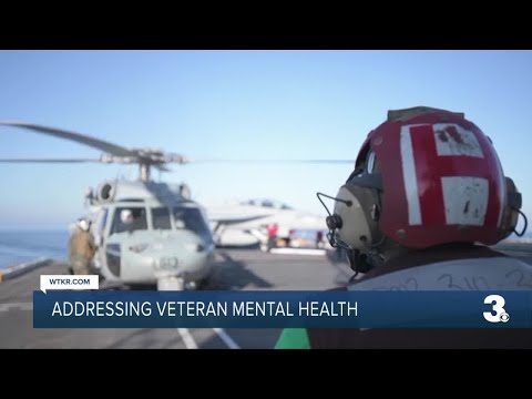 Survey unveils how Veterans best like to be appreciated as service member suicide rates increase