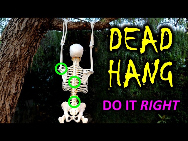 The Health Benefits of Hanging: A Comprehensive Guide | Galaxy