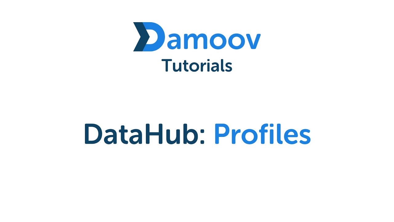 Profiles Tutorial | Damoov