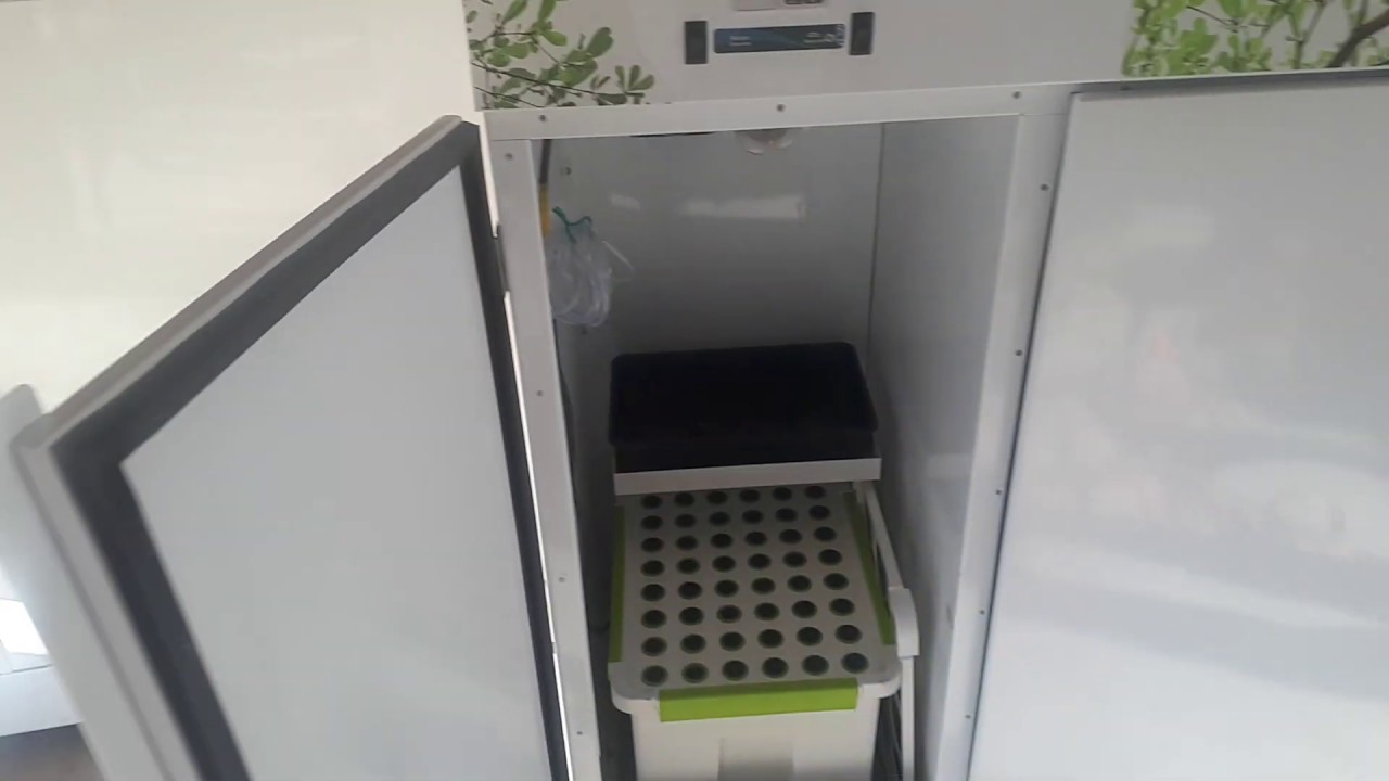 BloomBox & Producer Growboxes for sale in Edmonton SOLD