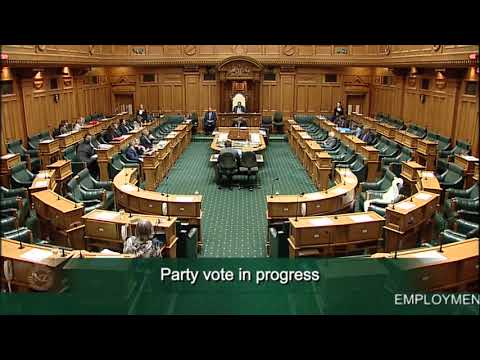 Employment Relations (Triangular Employment) Amendment Bill - First Reading - Video 12