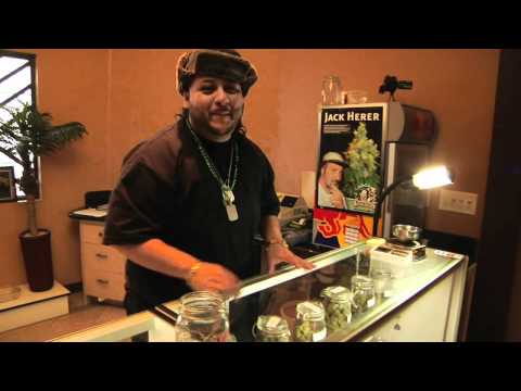 THE LOGIC-ALI SHOW ---HHH medical marijuana dispensary hollywood hills reality show
