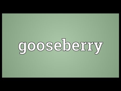 Gooseberry Meaning
