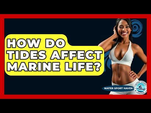 How Do Tides Affect Marine Life? - Water Sports Haven