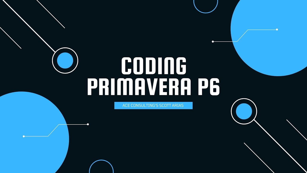 PRIMAVERA P6 MADE EASY! Coding in P6
