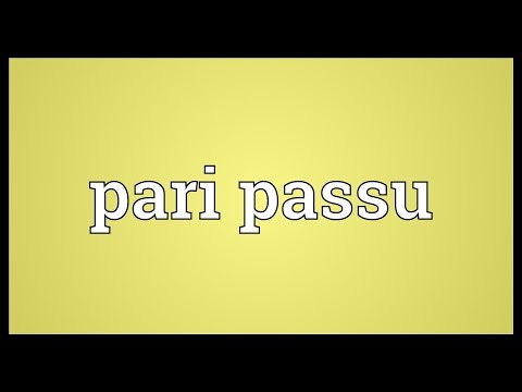Pari passu Meaning