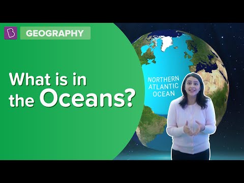 What Is In The Oceans? | Class 6 - Geography | Learn With BYJU'S