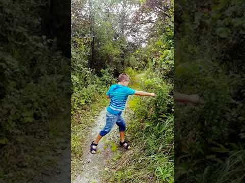 How to fight allergies (ragweed)