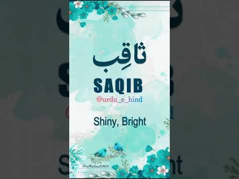 🌹Saqib🌹 | Name Meaning Status || Urdu e Hind Official |