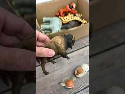 Zoo Animals Toys Tossed in a Box