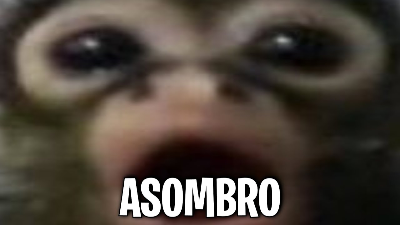 Shitposting Compilation V17