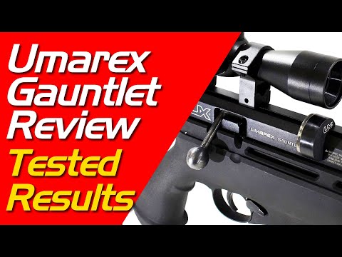Must Watch Umarex Gauntlet Test and Review .25 cal - Airgun101