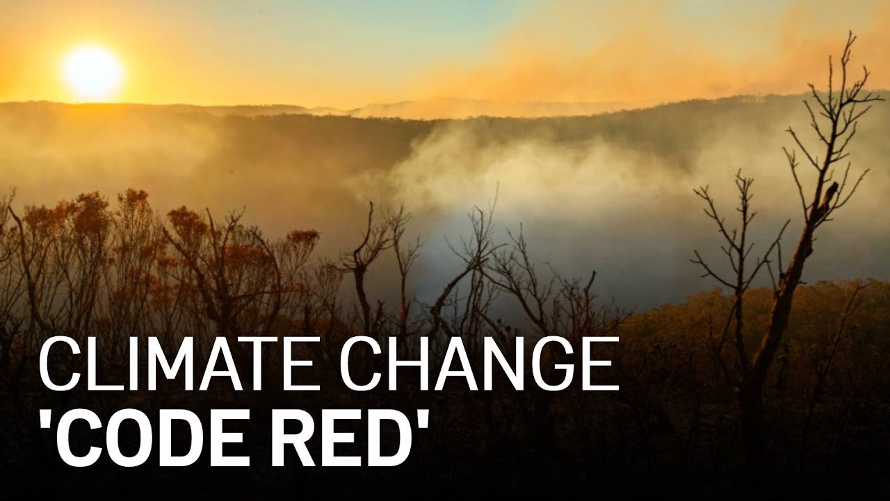 Climate Change the ‘Code Red' for Humanity: Report
