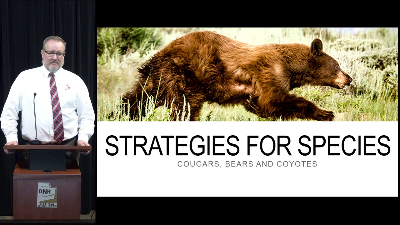 DWR Managing Predatory Wildlife Species