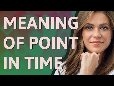 Point in time | meaning of Point in time