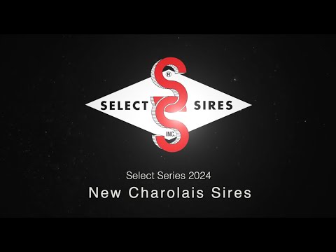 The 2024 Select Series: New Charolais Sires