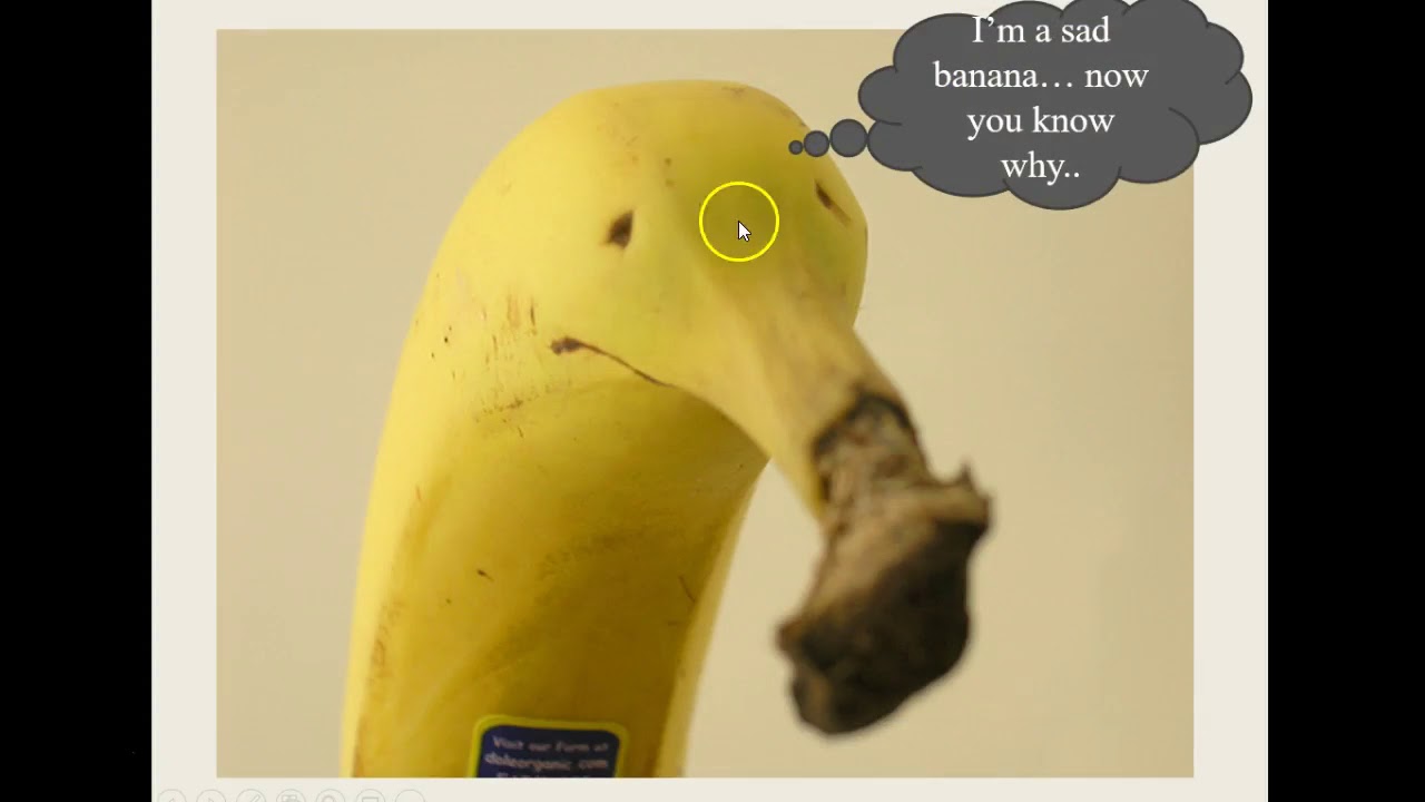 Biodiversity ppt. VIDEO