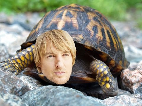Owen "the turtle" Wilson :D