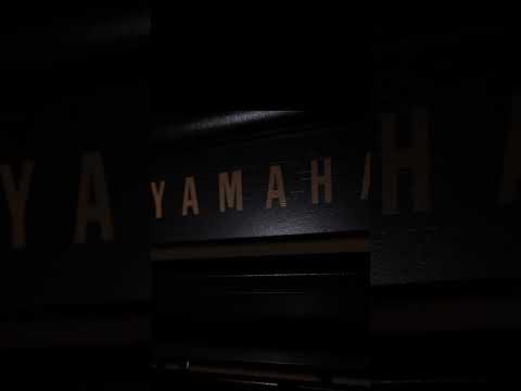 Yamaha CLP-825 | Elegant Console Digital Piano with Grand Piano Feel #popplersmusic #piano