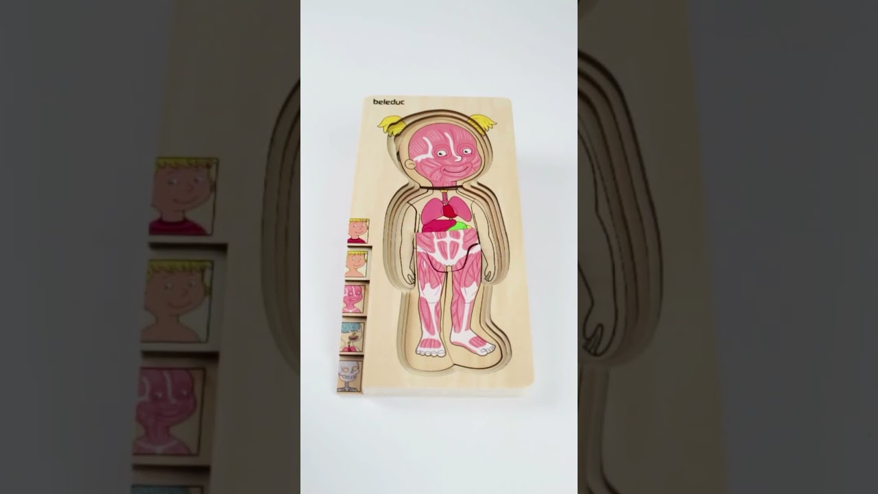 Puzzle anatomía femenina