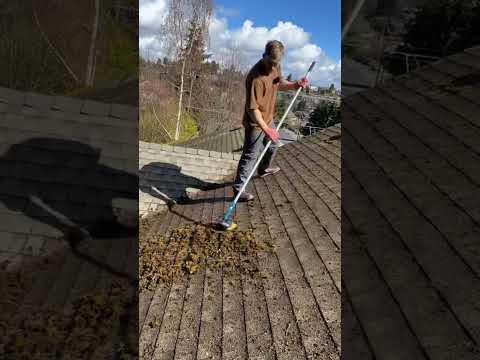 How to properly brush and clean a roof