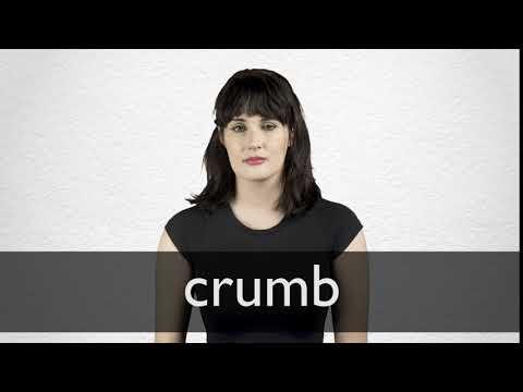 How to pronounce CRUMB in British English