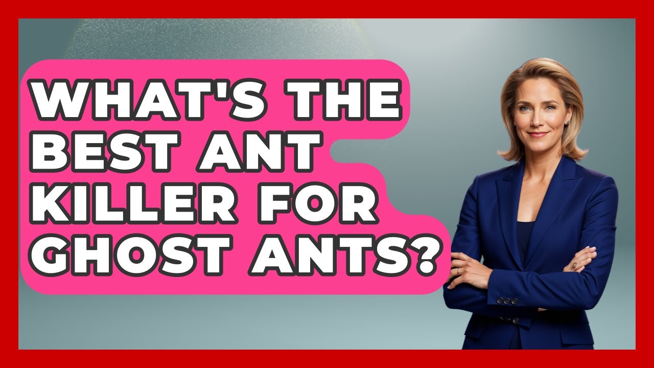 What's The Best Ant Killer For Ghost Ants? - Insects and Invaders