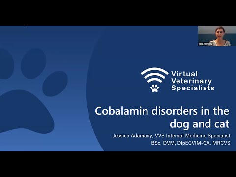 VVS Internal Medicine Webinar Cobalamin Disorders in the Dog and Cat