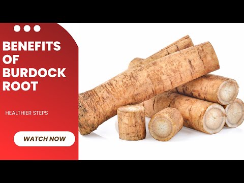 What Are The Health Benefits Of Burdock Root | Learn About The Unknown Benefits Of Burdock Root