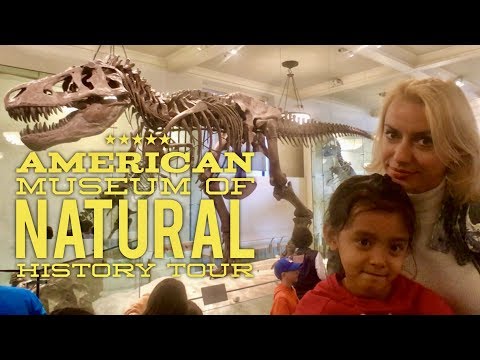 American Museum of Natural History New York Full Tour by HourPhilippines.com
