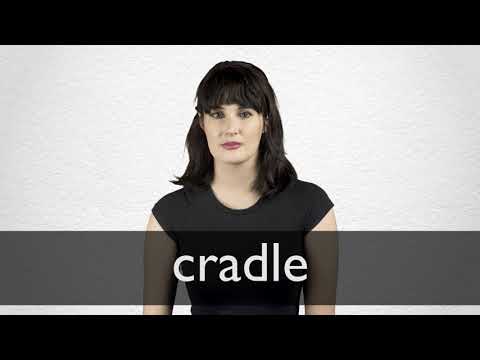CRADLE——含义、同义词和翻译| 柯林斯英语词典资源