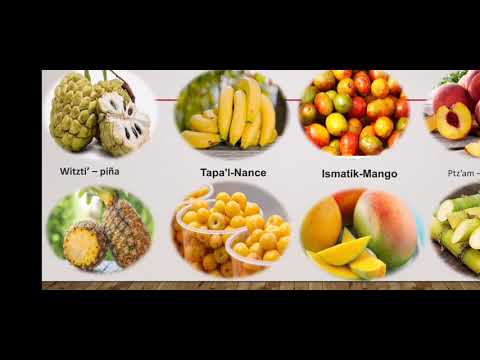 TOMi.digital - Aprendiendo el idioma mam