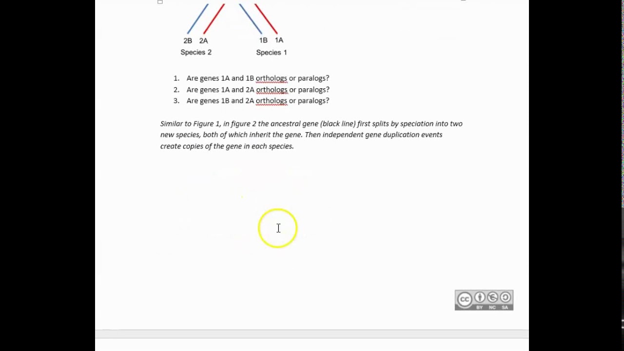 Module 3 Session 1 practical assignment