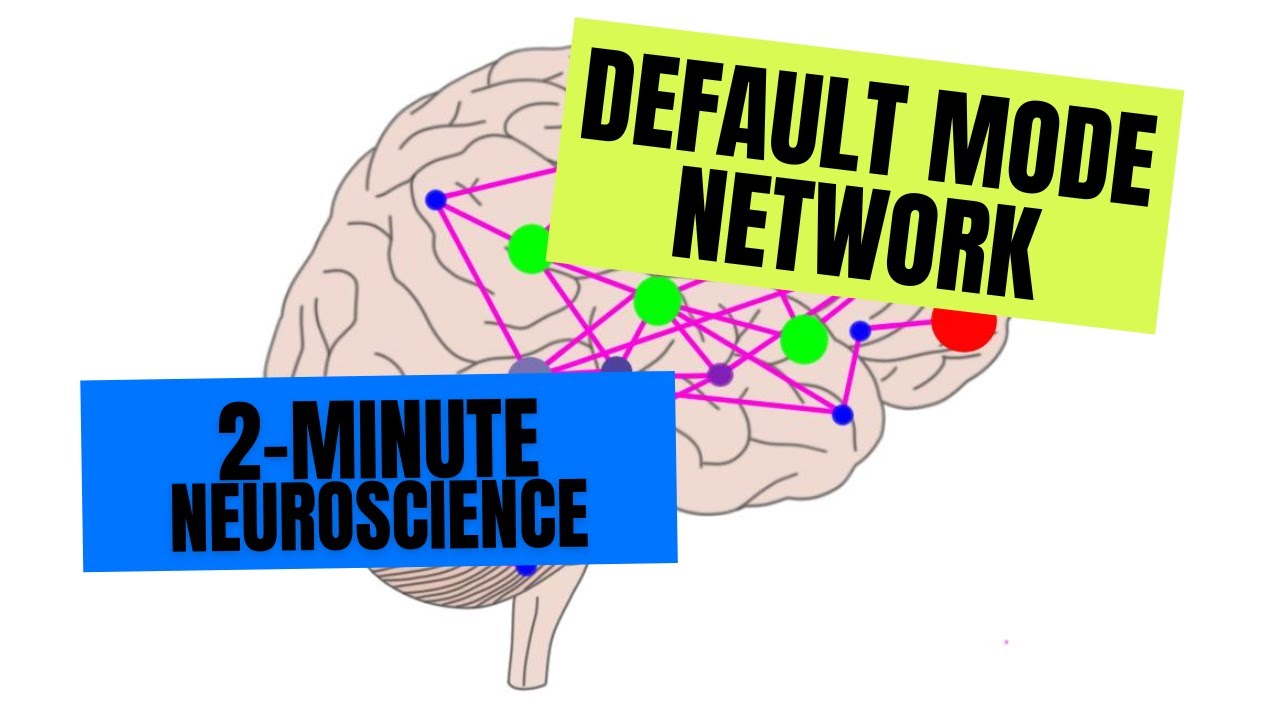 2-Minute Neuroscience: Default Mode Network