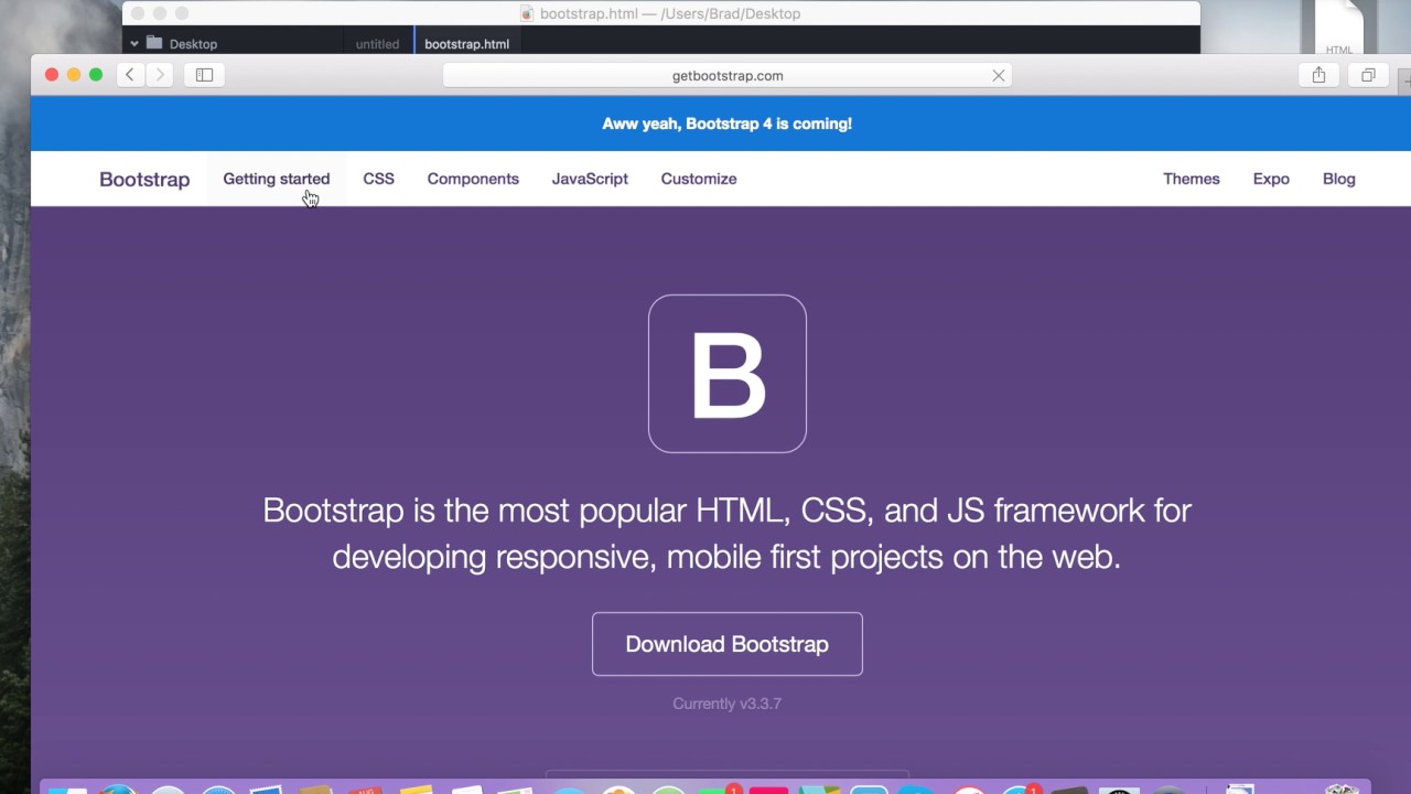 How to insert the Bootstrap framework into your HTML project