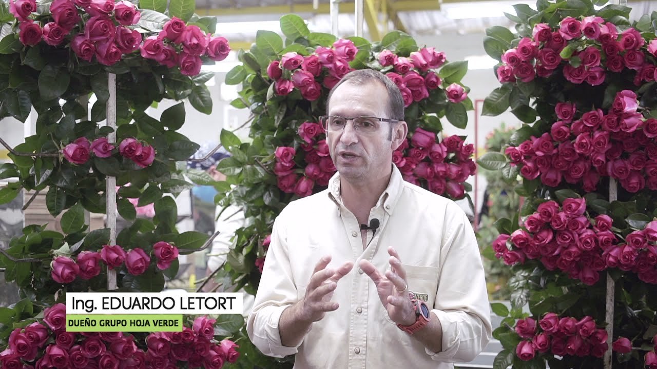 Best technological advances - HOJA VERDE Ing. Eduardo Letort