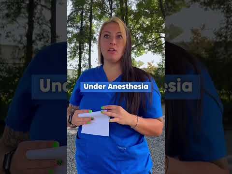 Why is it important for pets to fast before surgery?
