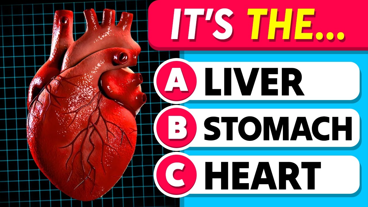 How Well Do You Know the Human Body? | Human Body Parts | General Knowledge Quiz