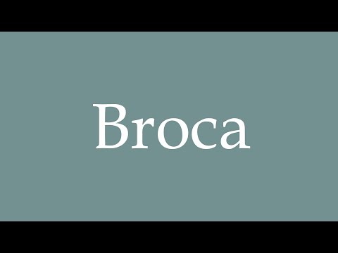 How to Pronounce ''Broca'' Correctly in French