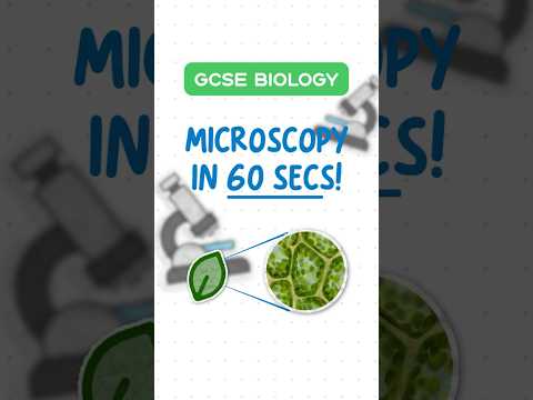 GCSE Biology - Microscopy in 60 seconds! 🔬👀
