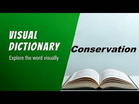 Conservation Meaning | Conservation Definition | Conservation Pronunciation | Visual Dictionary