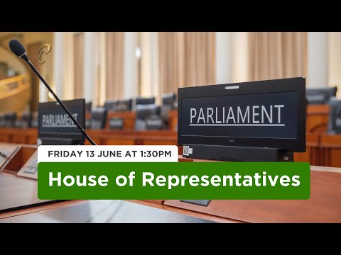 2nd Sitting of the House of Representatives - 1st Session - 13th Parliament - June 13, 2025