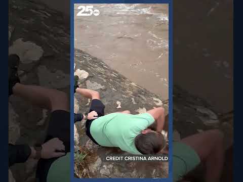 Dog rescued by good Samaritans amidst strong waters in the aftermath of flooding in Roswell, NM