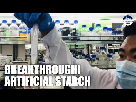 Breakthrough! Chinese scientists synthesize starch from CO2 in global first